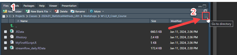 R/RStudio Crash Course Workshop